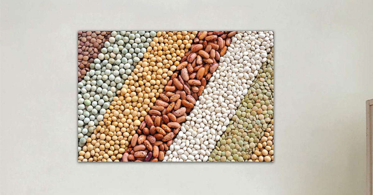 Beans Art That Brings Your Kitchen To Life | Recipes Master